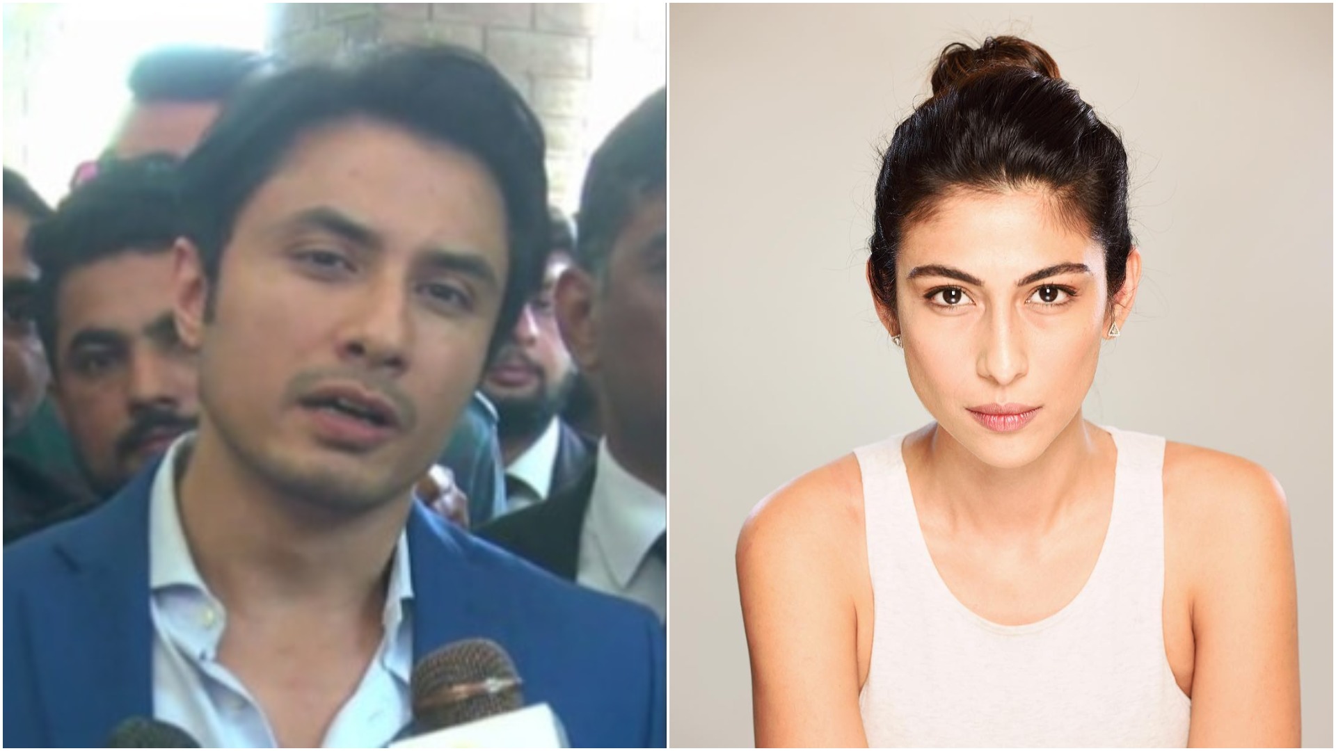Ali Zafar shares Meesha's case dismissal documents, Ayesha Fazli gives ...