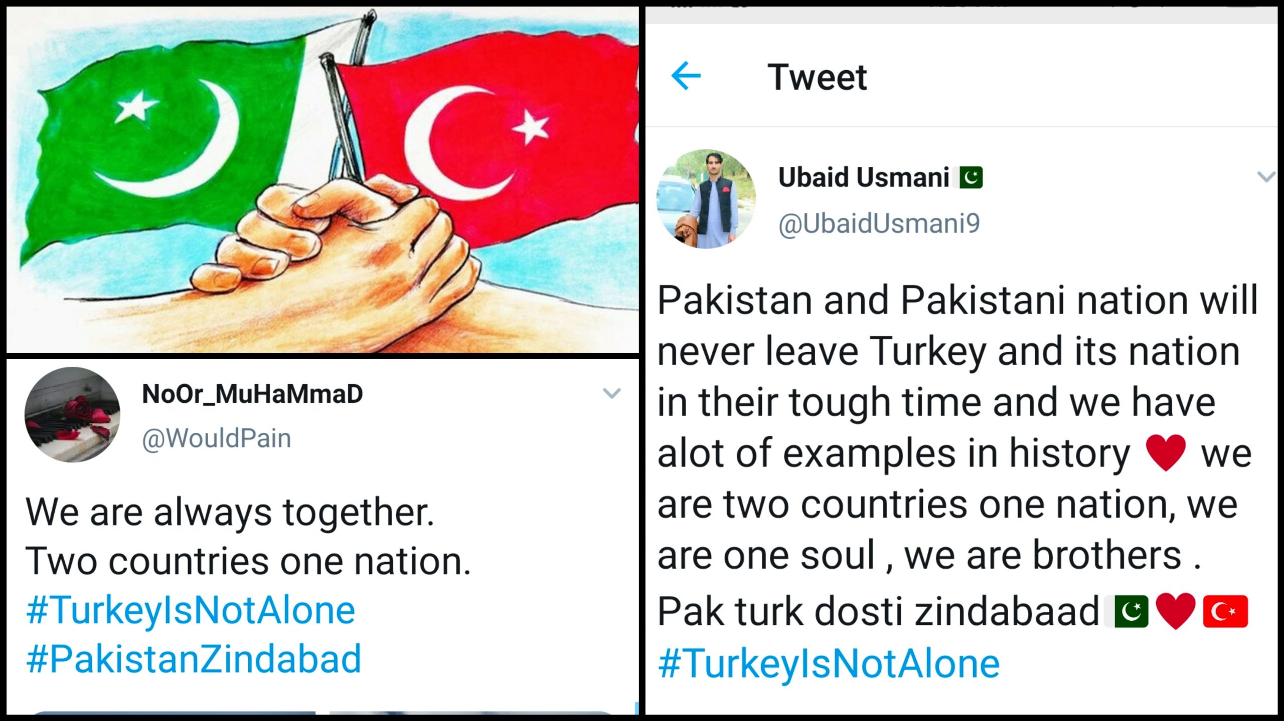 #TurkeyIsNotAlone: Pakistanis Extend Their Support To Turkey ...