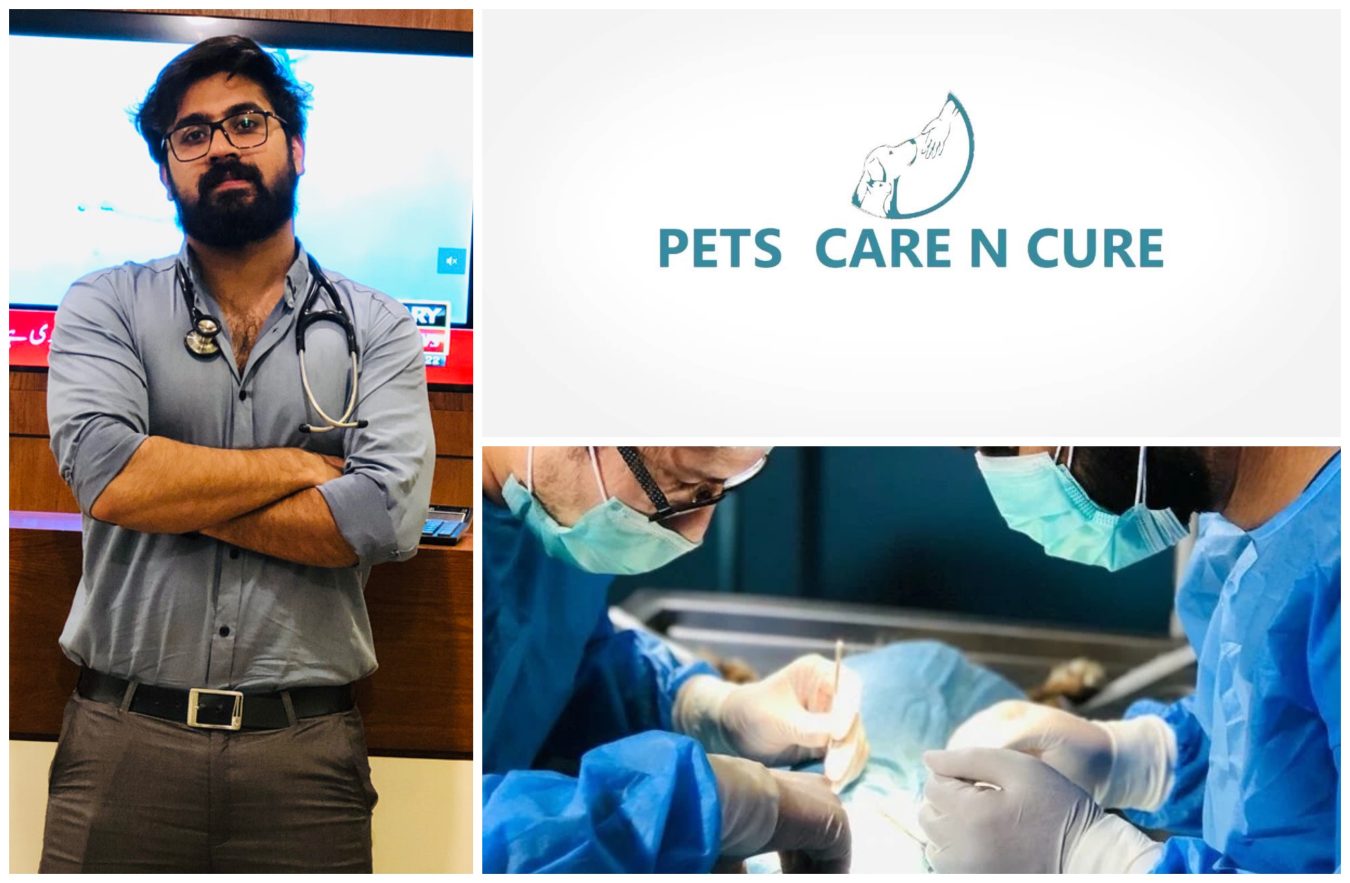 Beyond Ordinary Care: Exploring Karachi's Top 5 Veterinary Clinics for ...