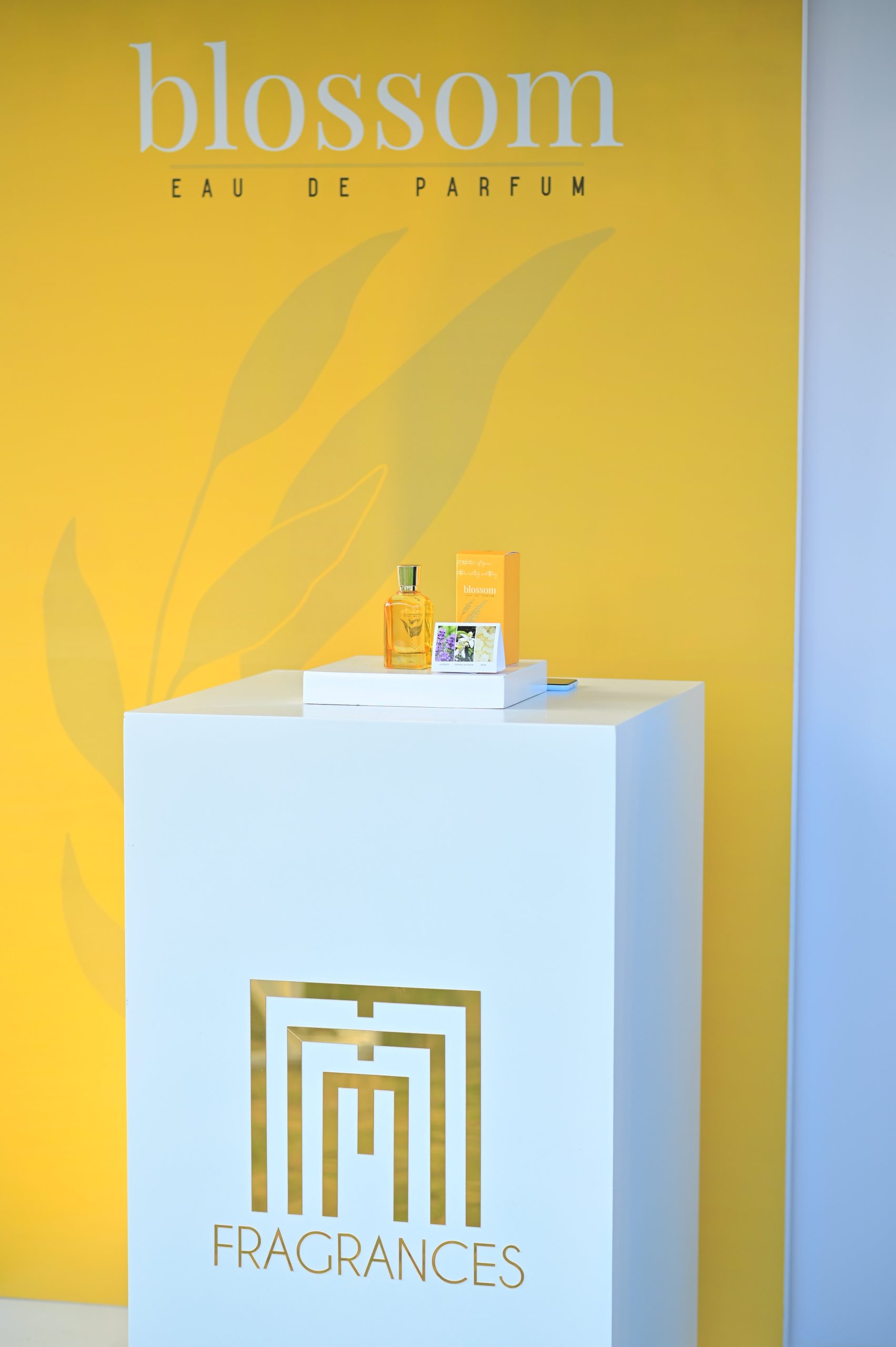 Masarrat Misbah Fragrances: A Sensory Journey Unveiled - Diva Magazine